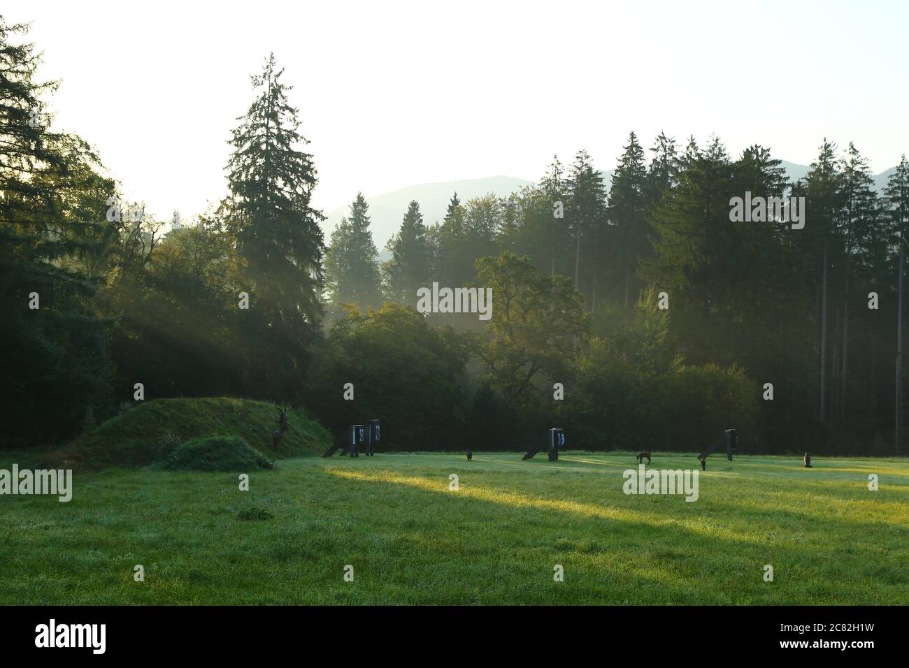 Early archer hi-res stock photography and images - Alamy