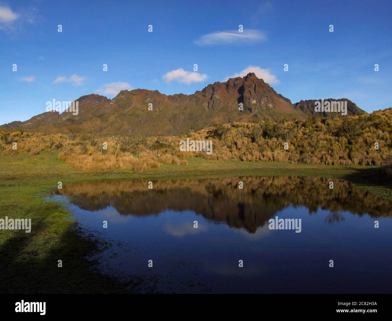 Ruminahui at Ecuador´s Cotopaxi nationalpark Stock Photo - Alamy