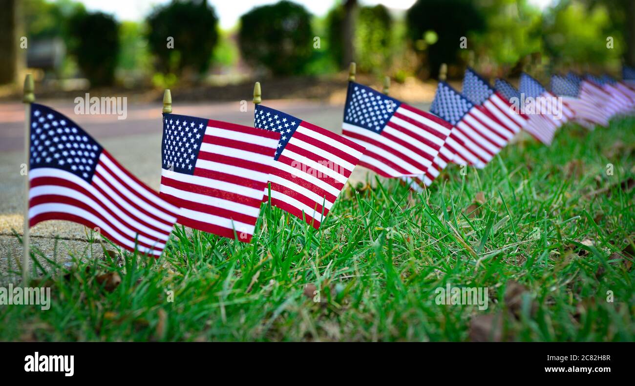 A select focus, low angle view of a display of miniature American flags ...