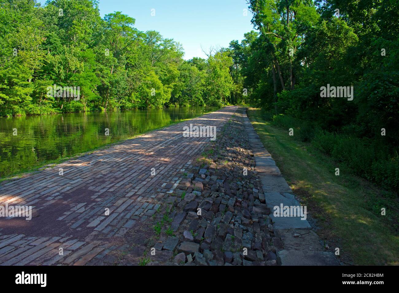 Parallel Lines In Nature
