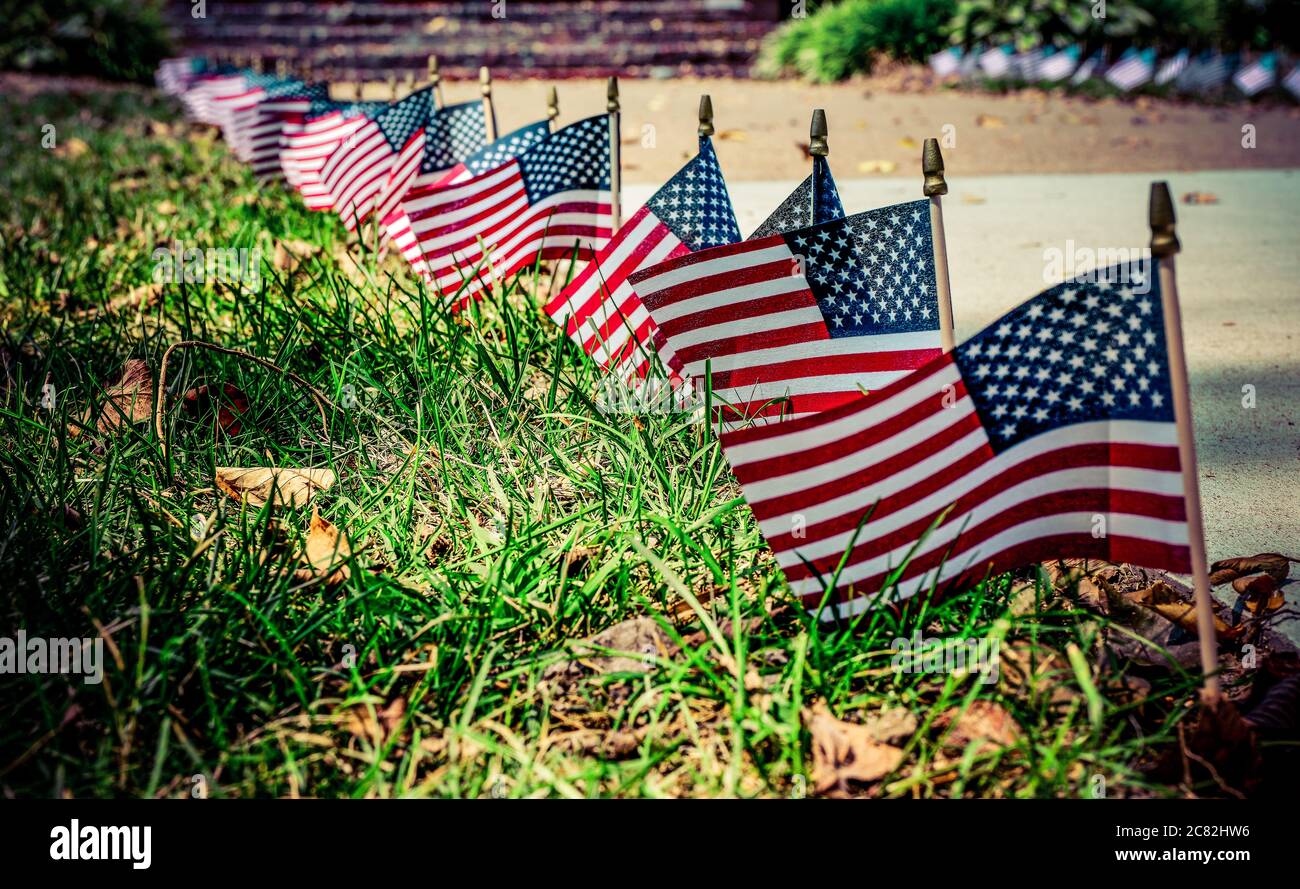 A select focus, low angle view of a display of miniature American flags ...