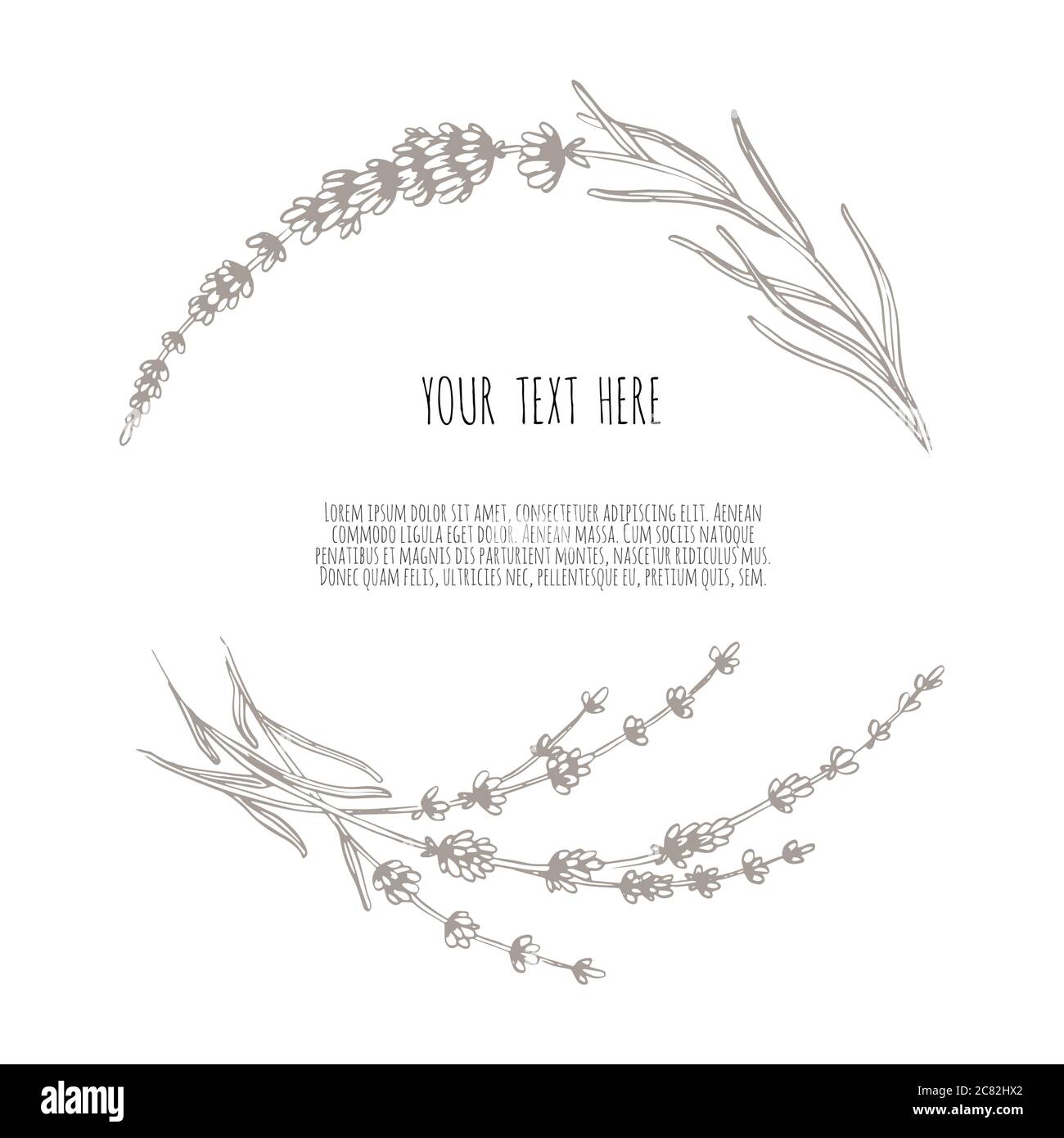 Beautiful vector hand drawn lavender tea herb Illustration. Sketch ...