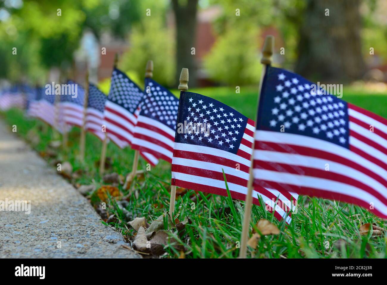 A select focus, low angle view of a display of miniature American flags ...