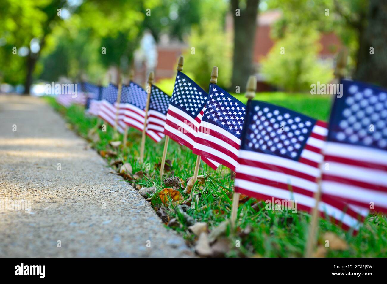 American election flags hi-res stock photography and images - Alamy