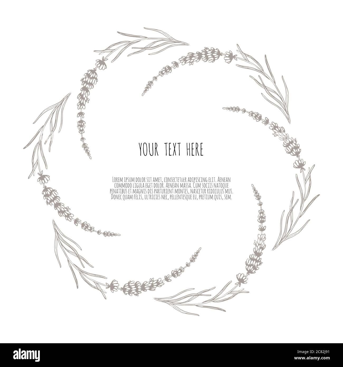 Beautiful vector hand drawn lavender tea herb Illustration. Sketch ...