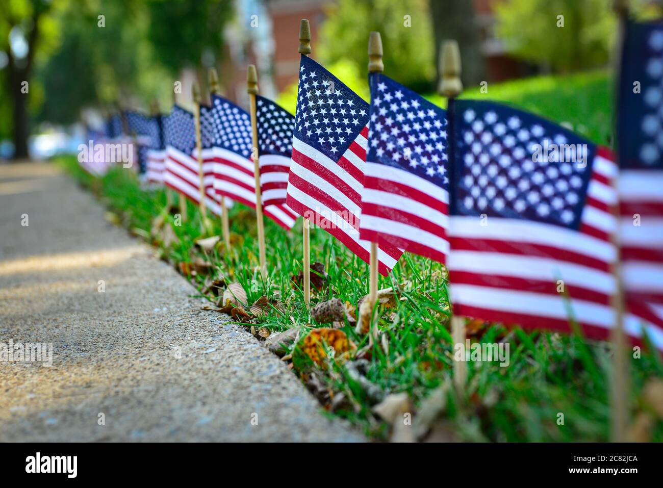 Miniature american flags hi-res stock photography and images - Alamy
