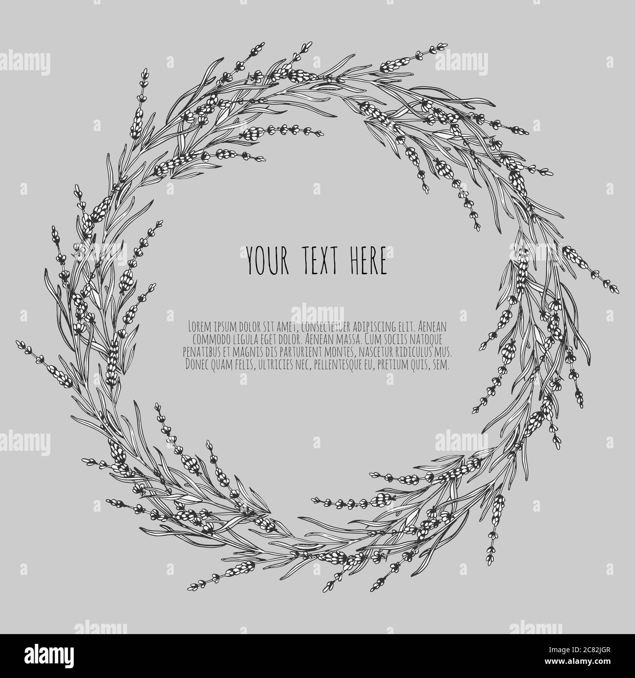 Beautiful vector hand drawn lavender tea herb Illustration. Sketch ...