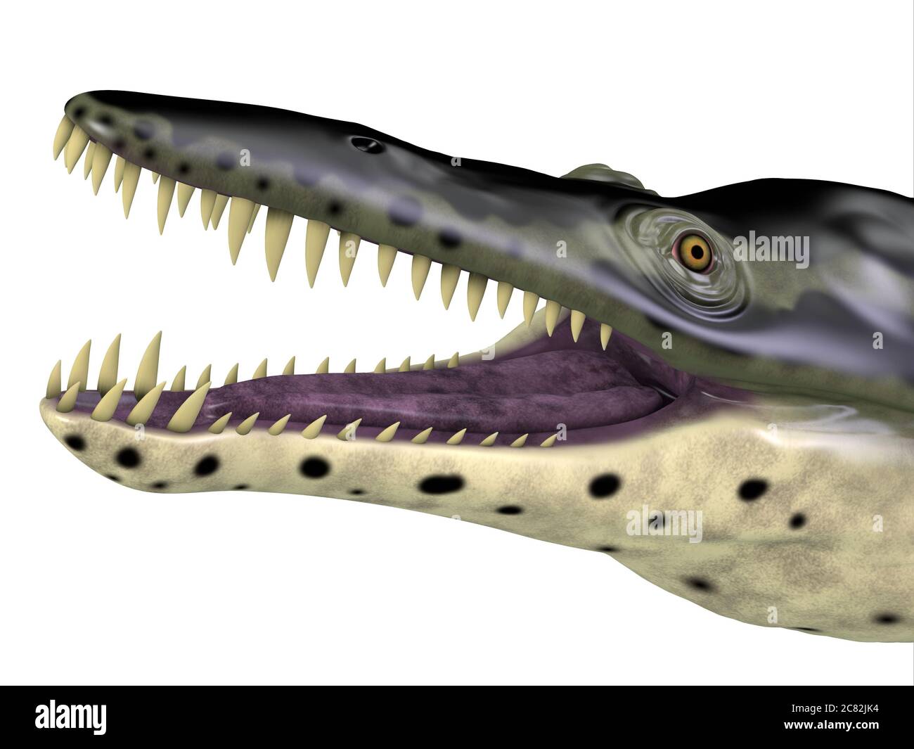 Kronosaurus