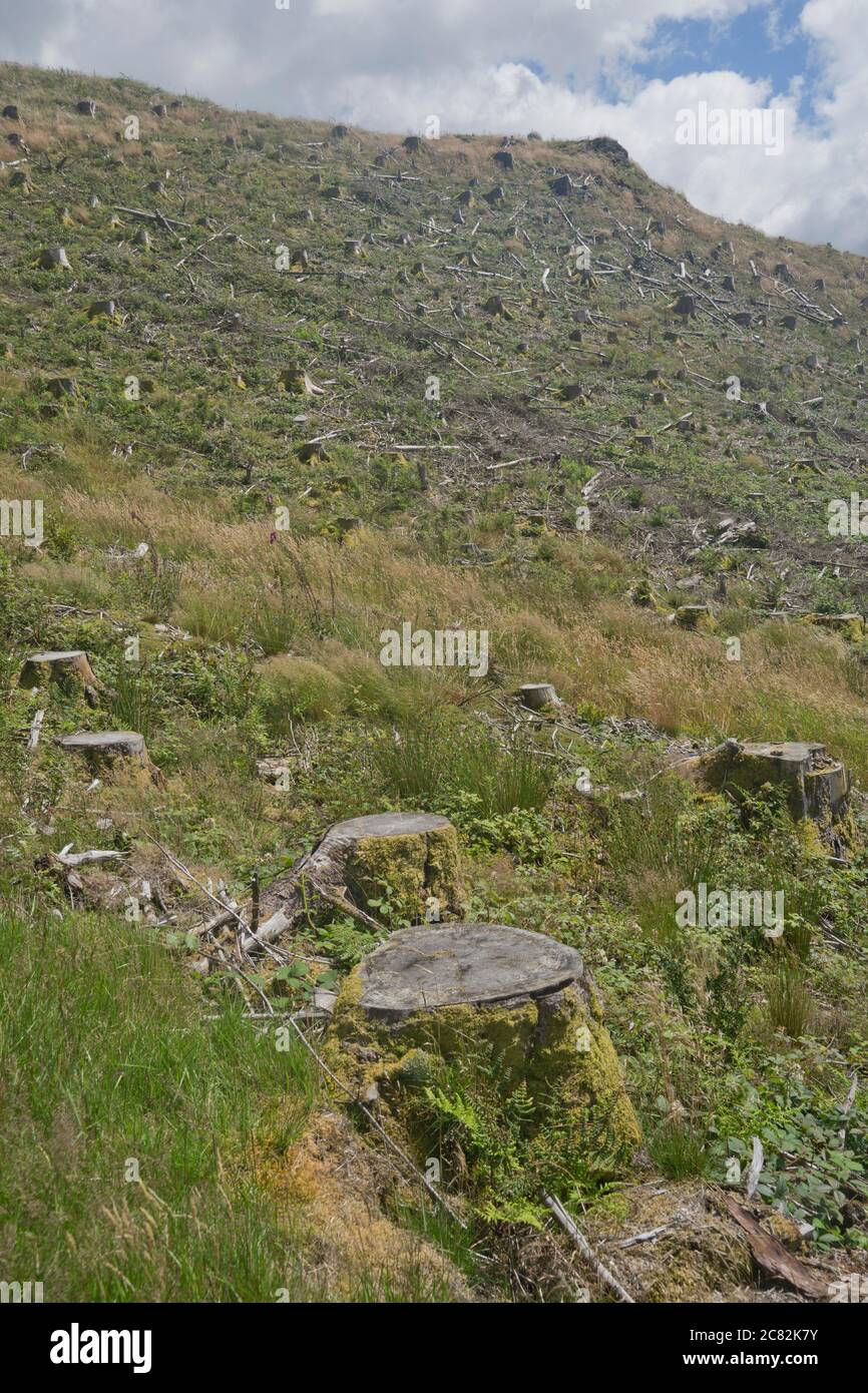 Y bwa hi-res stock photography and images - Alamy
