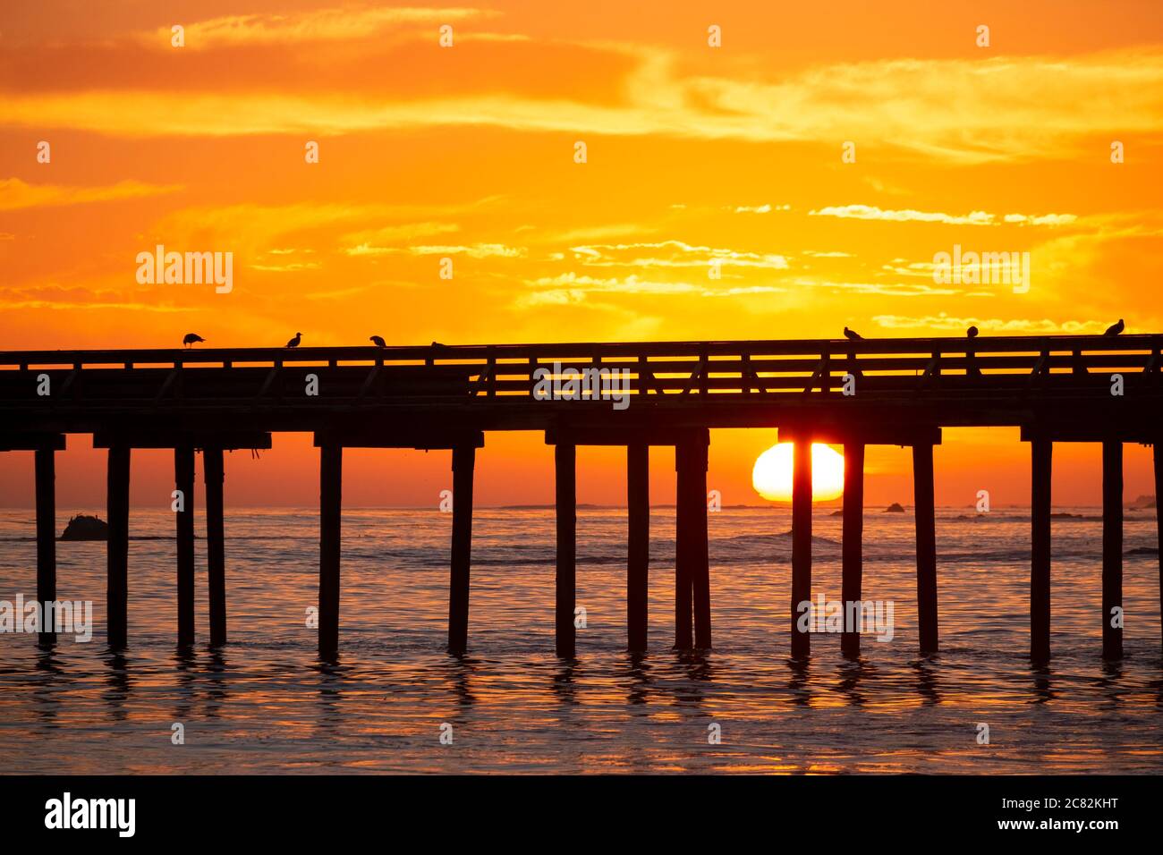 Golden sunset over the Pacific ocean an the old pier at Cayucos ...