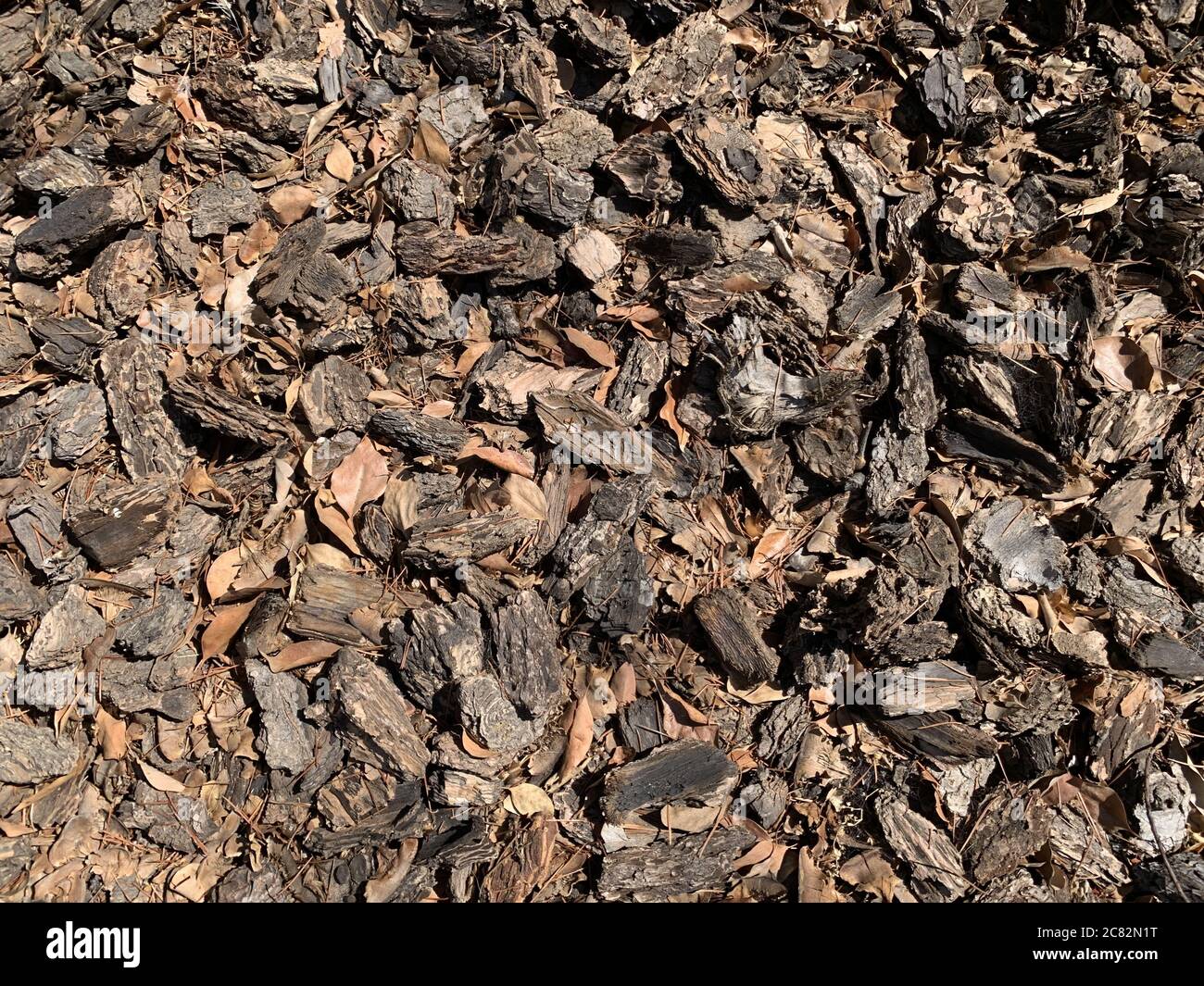 Overhead shot of the wooden sticks on the ground captured during the ...