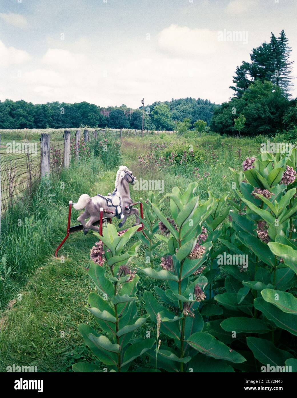 A classic plastic rocking horse posed in green field as if it were ...
