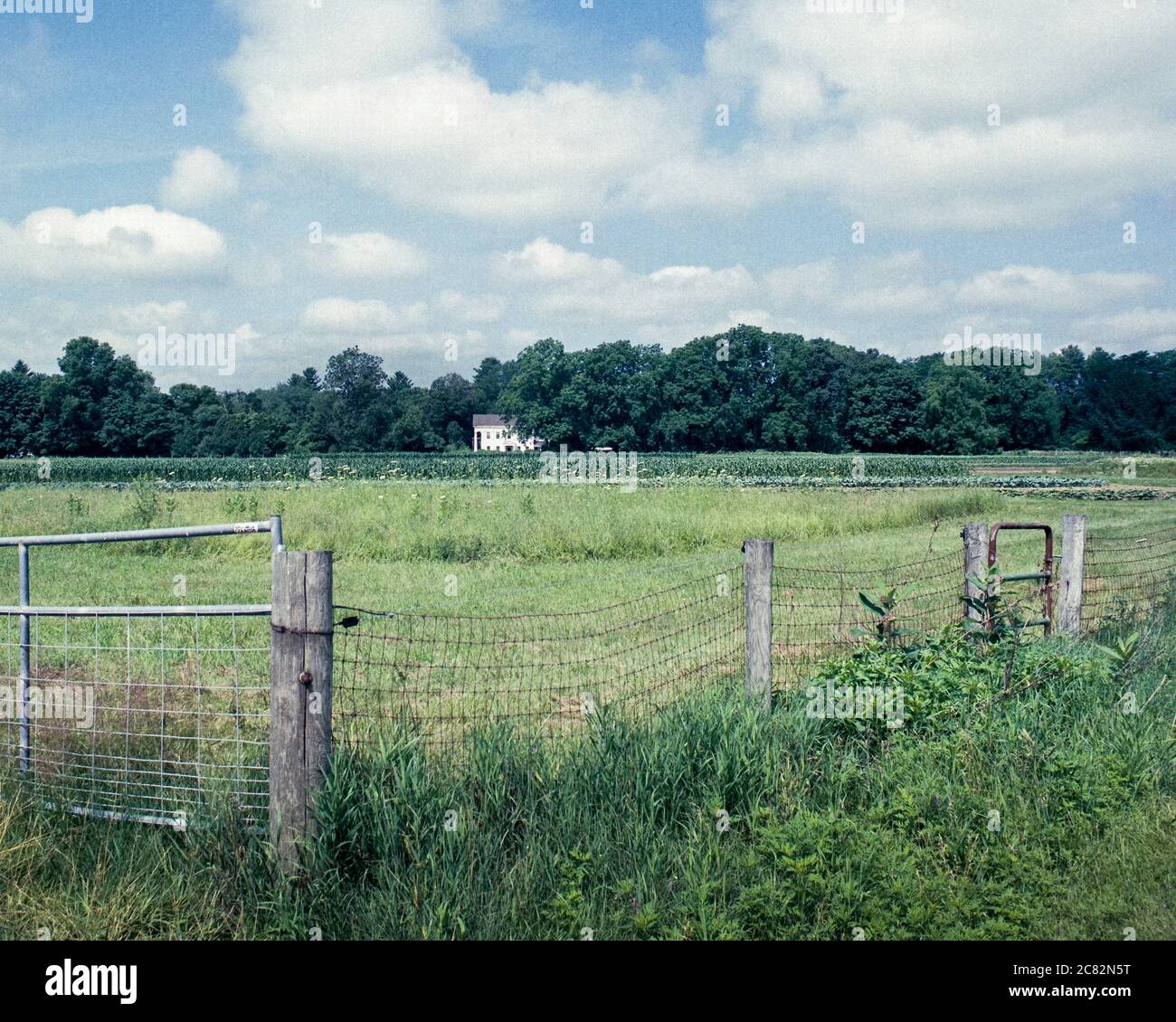 A rich green field surrounds a bright white farmhouse in background ...