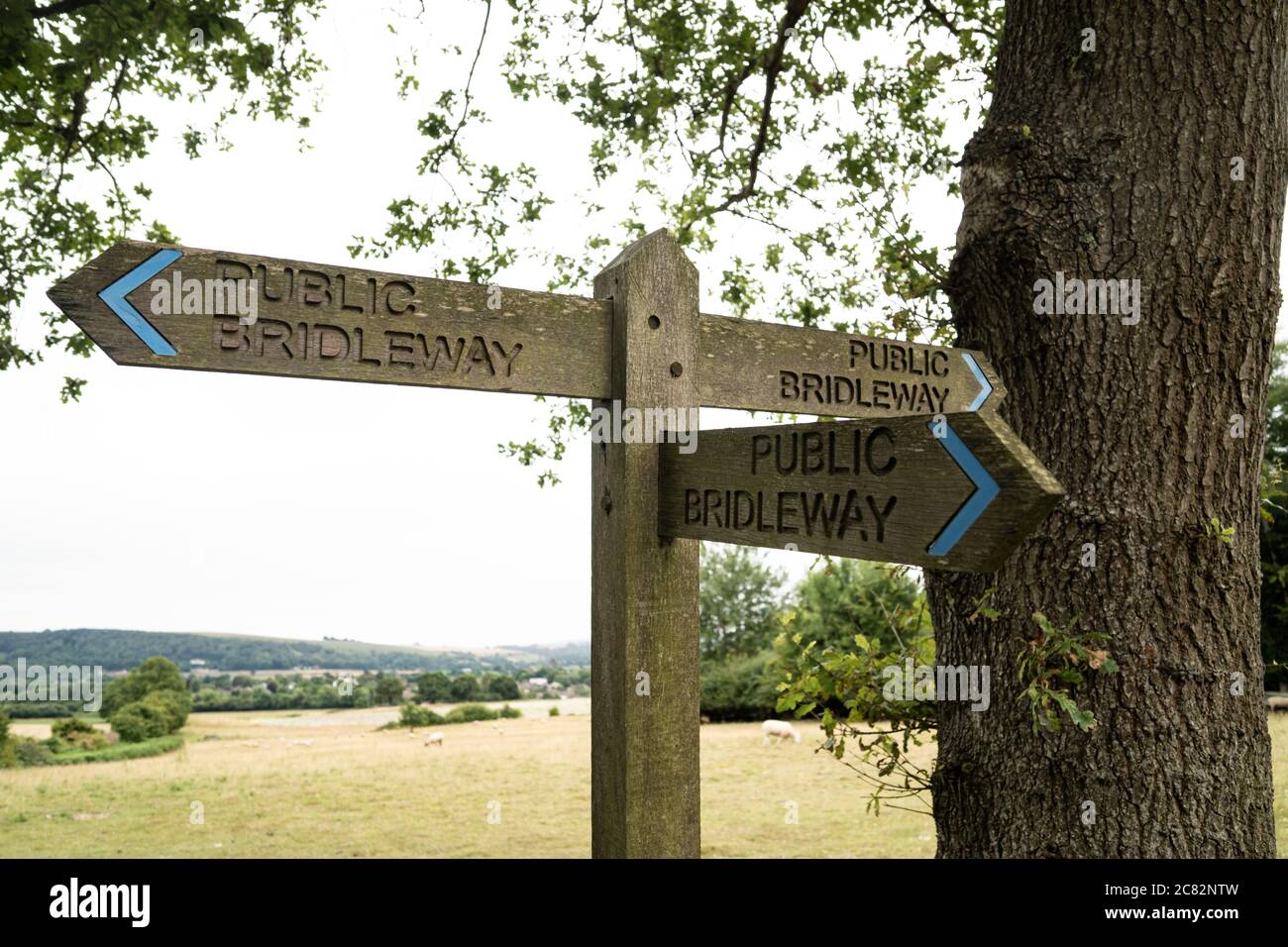 Wooden sign on the junction of two public bridleways stating 'Public ...