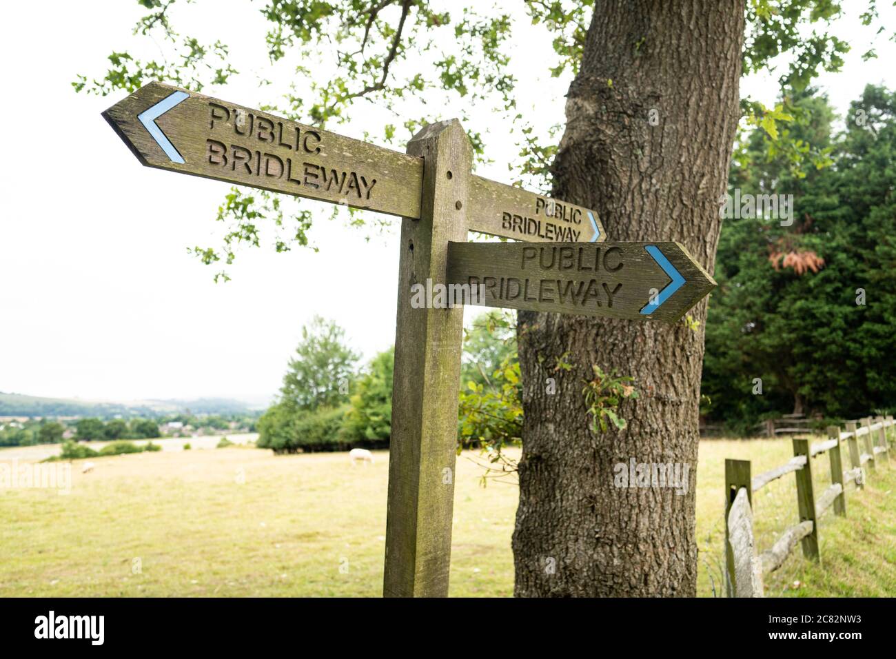 Wooden sign on the junction of two public bridleways stating 'Public ...