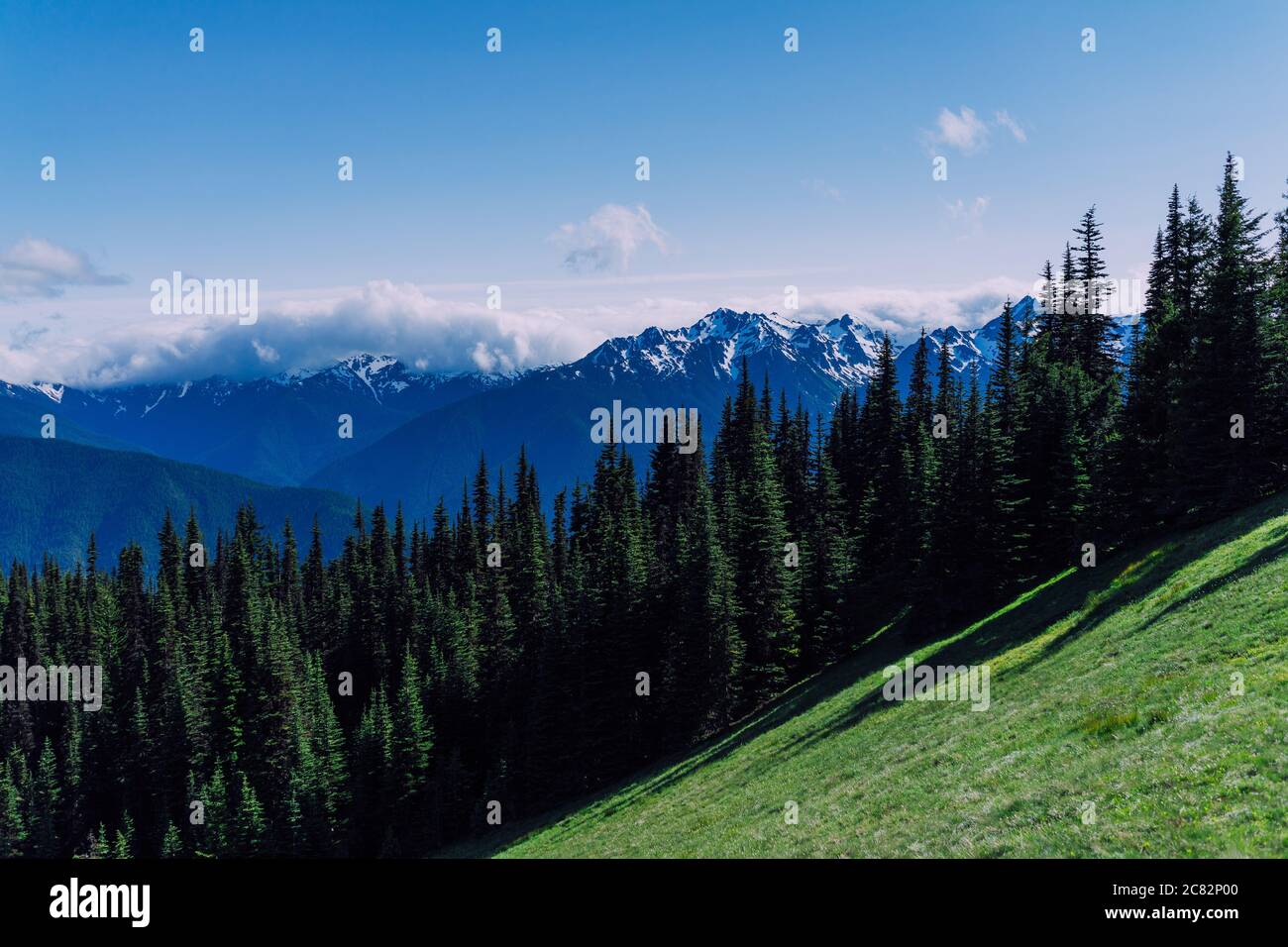 Angeles national forest snow hi-res stock photography and images - Alamy