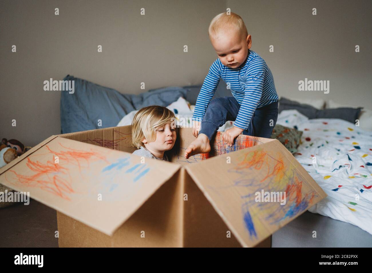 Young male kids playing and drawing in a box during lockdown Stock ...