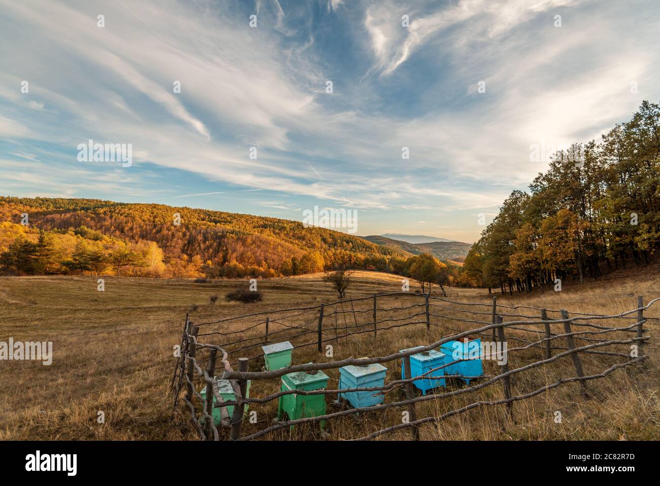Honey bee hives in autumn forest Stock Photo - Alamy