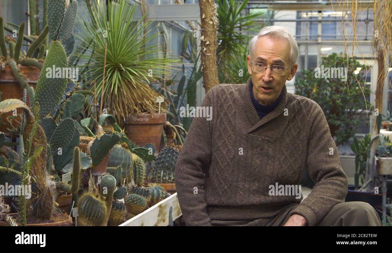 THE GRAND UNIFIED THEORY OF HOWARD BLOOM, evolutionary biologist David ...