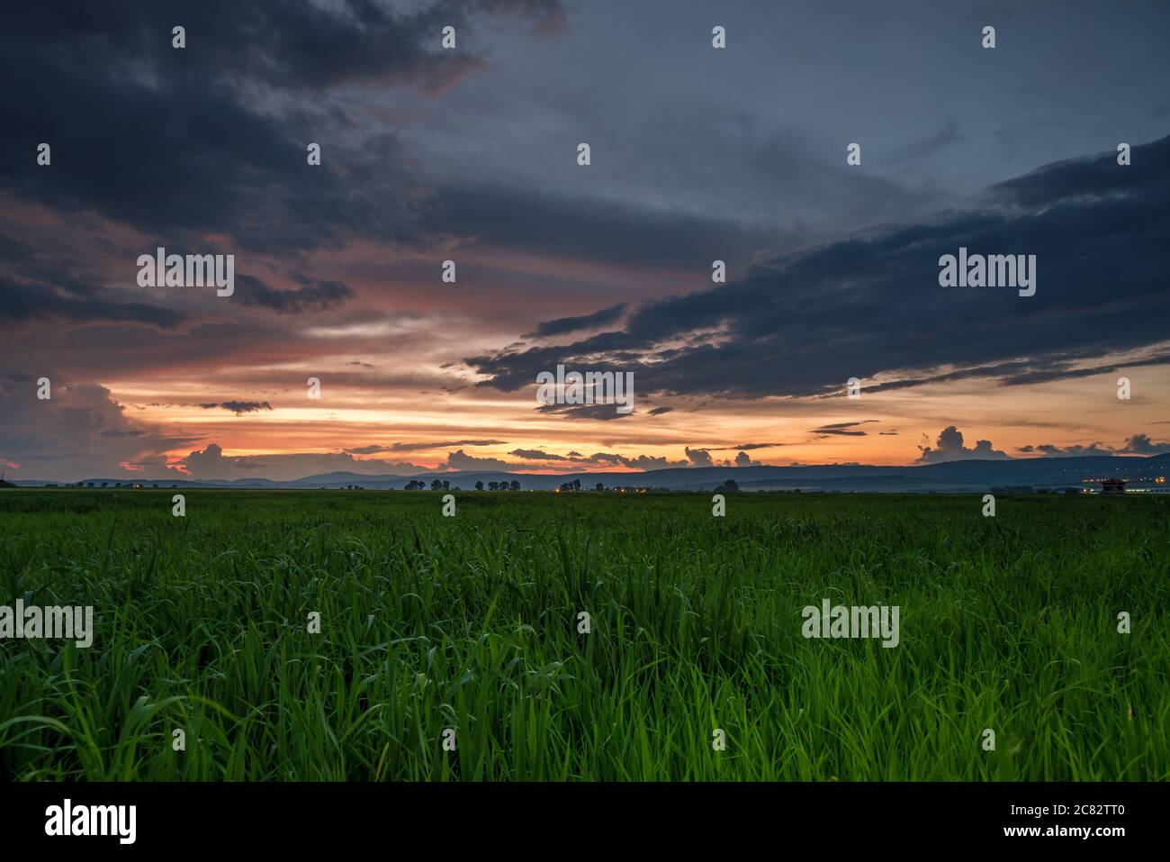 Sunrise in the summer over a corn field hi-res stock photography and ...