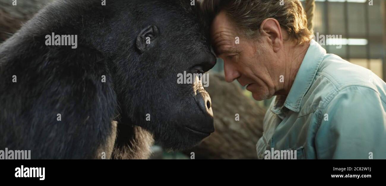 THE ONE AND ONLY IVAN, from left: Ivan (voice: Sam Rockwell), Bryan ...