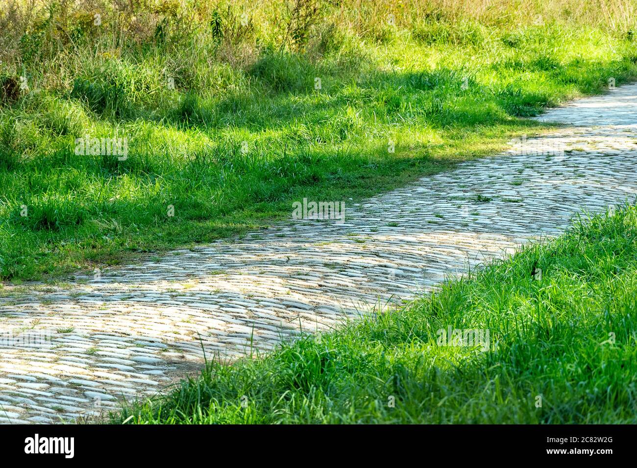 Path or sidewalk made with rock blocks near lawn. straight pathway in ...