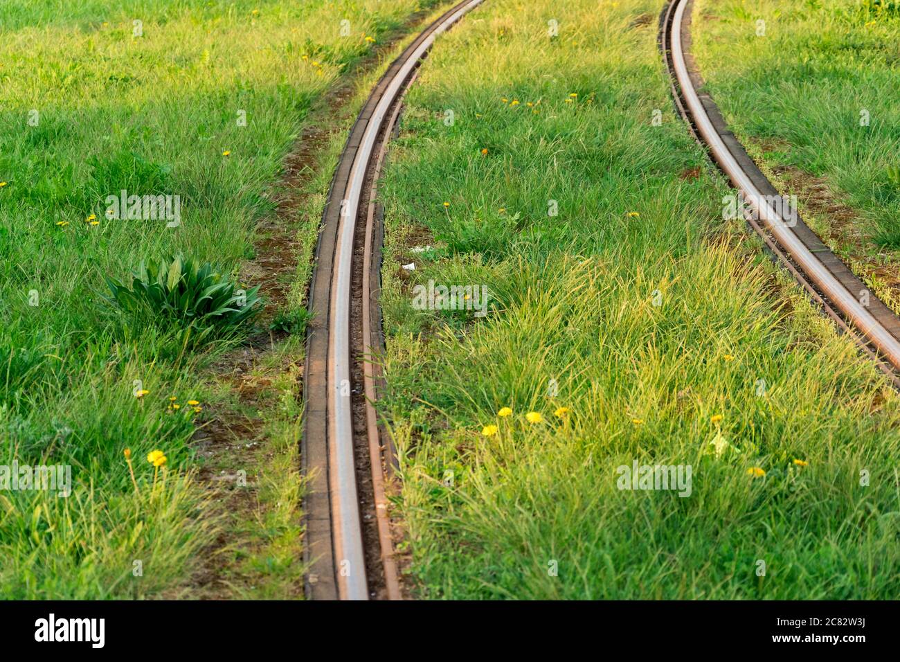 Train rails. Public transportation track covered by lawn. Modern ...