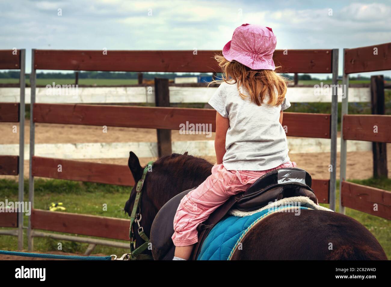 Pony riding, young girl as a horseback jockey rear view. female child ...