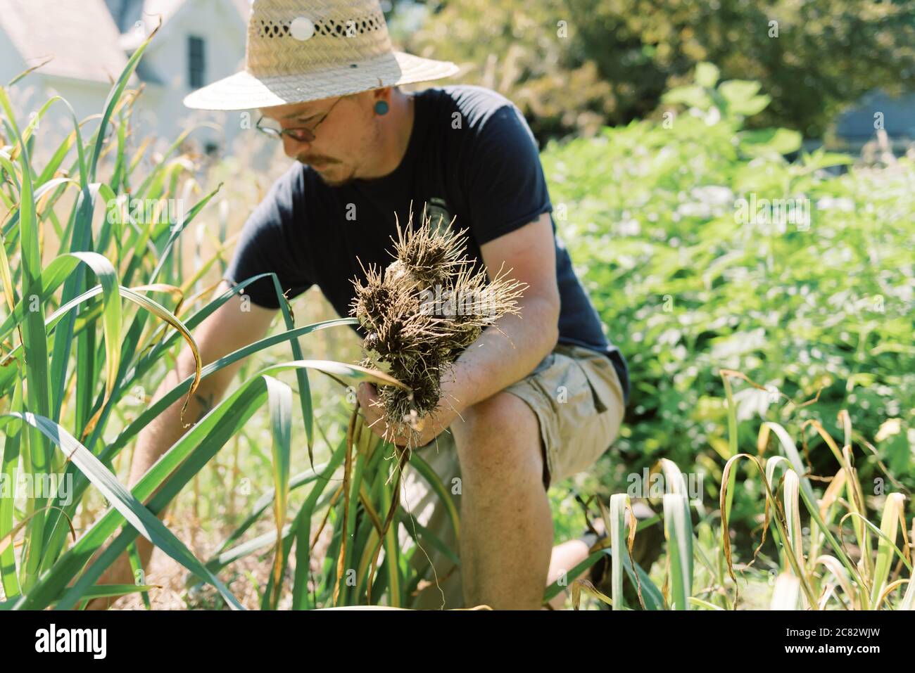 Man garlic close up hi-res stock photography and images - Alamy