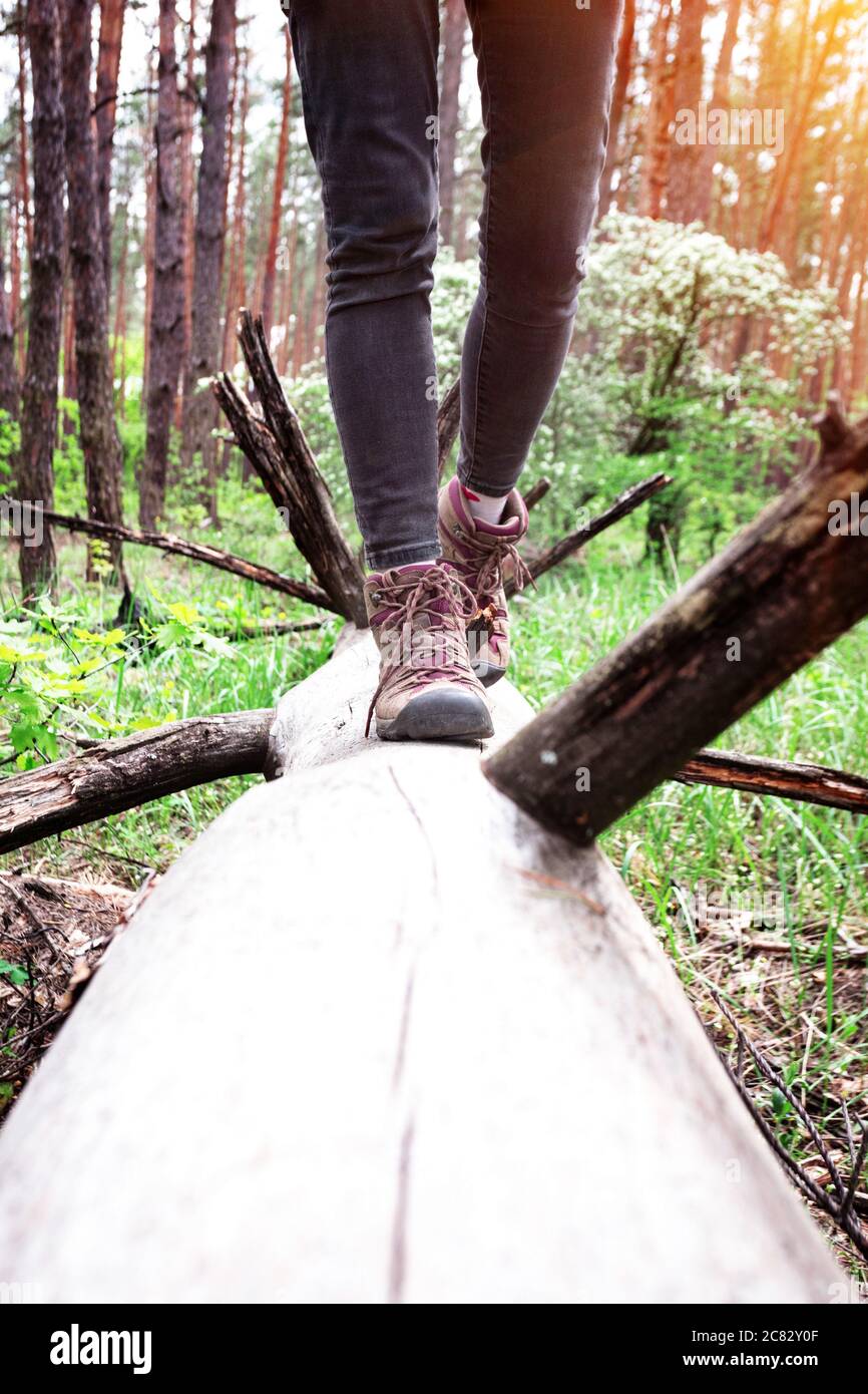 hiking boots close-up. girl tourist steps on a log. active lifestyle ...