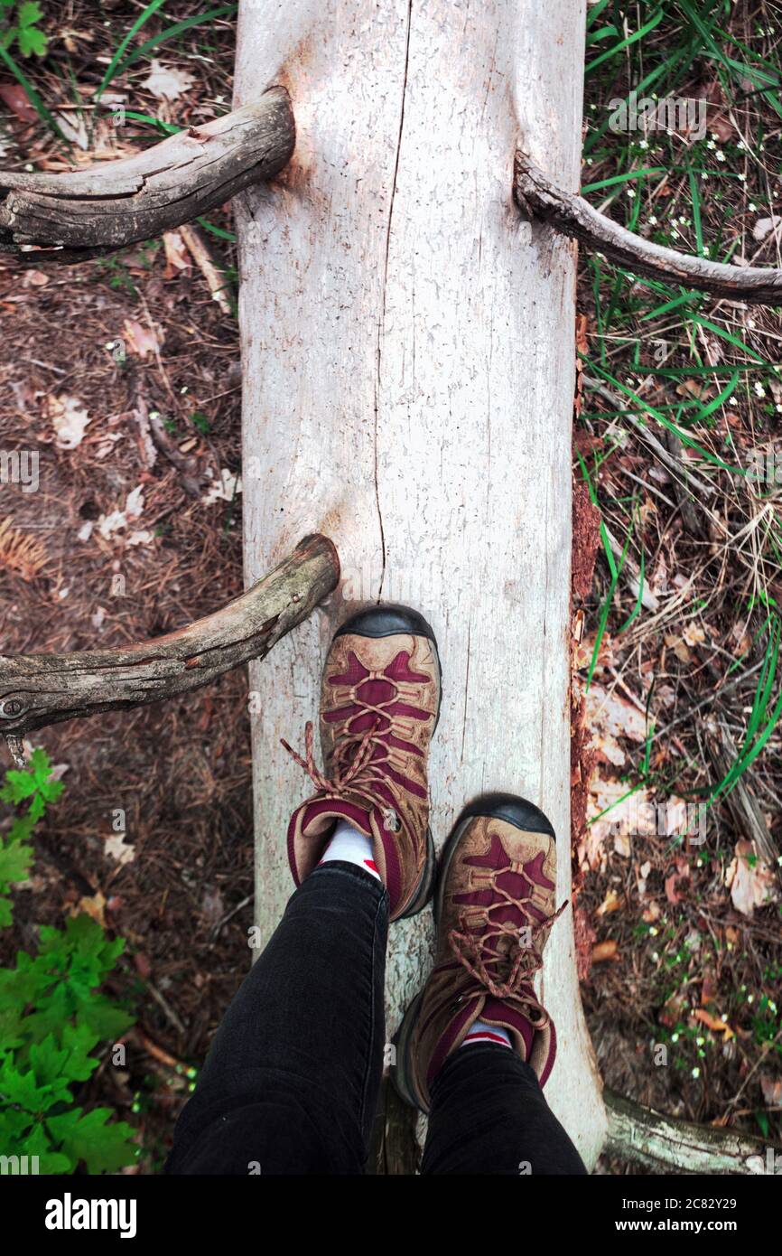 hiking boots close-up. girl tourist steps on a log. active lifestyle ...
