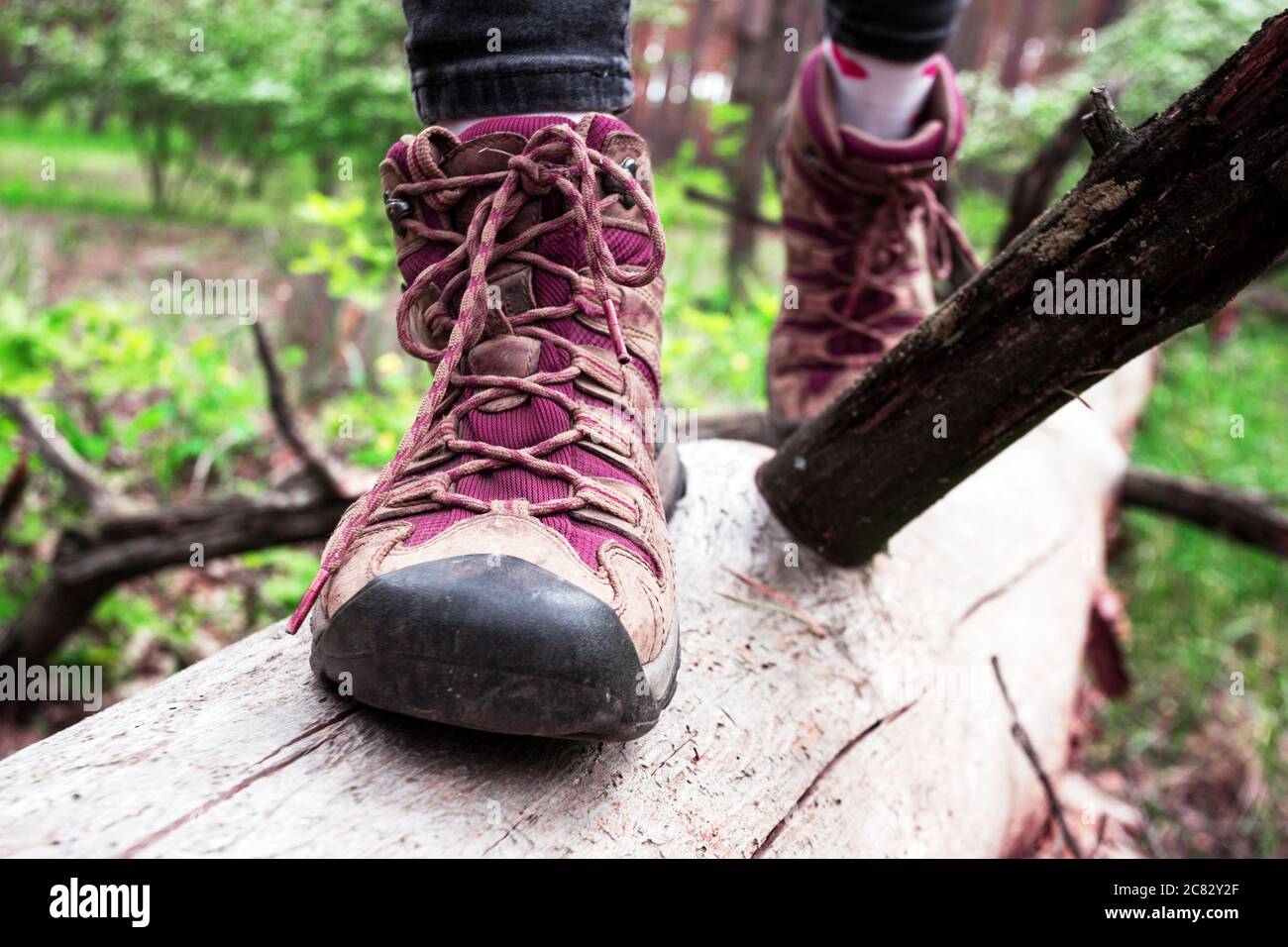 hiking boots close-up. girl tourist steps on a log. active lifestyle ...