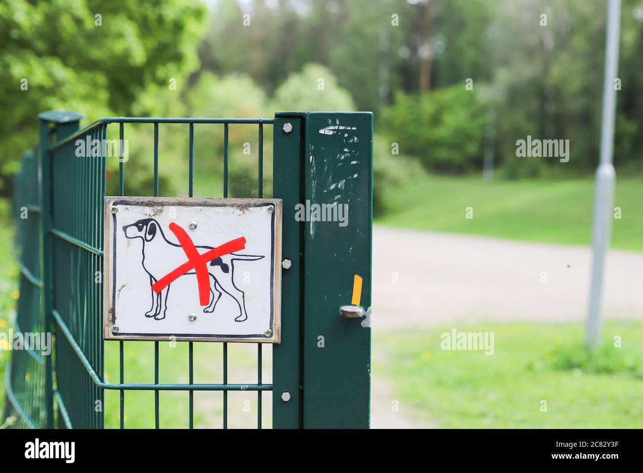 Closeup shot of no dogs allowed sign attached to a metal fence Stock ...