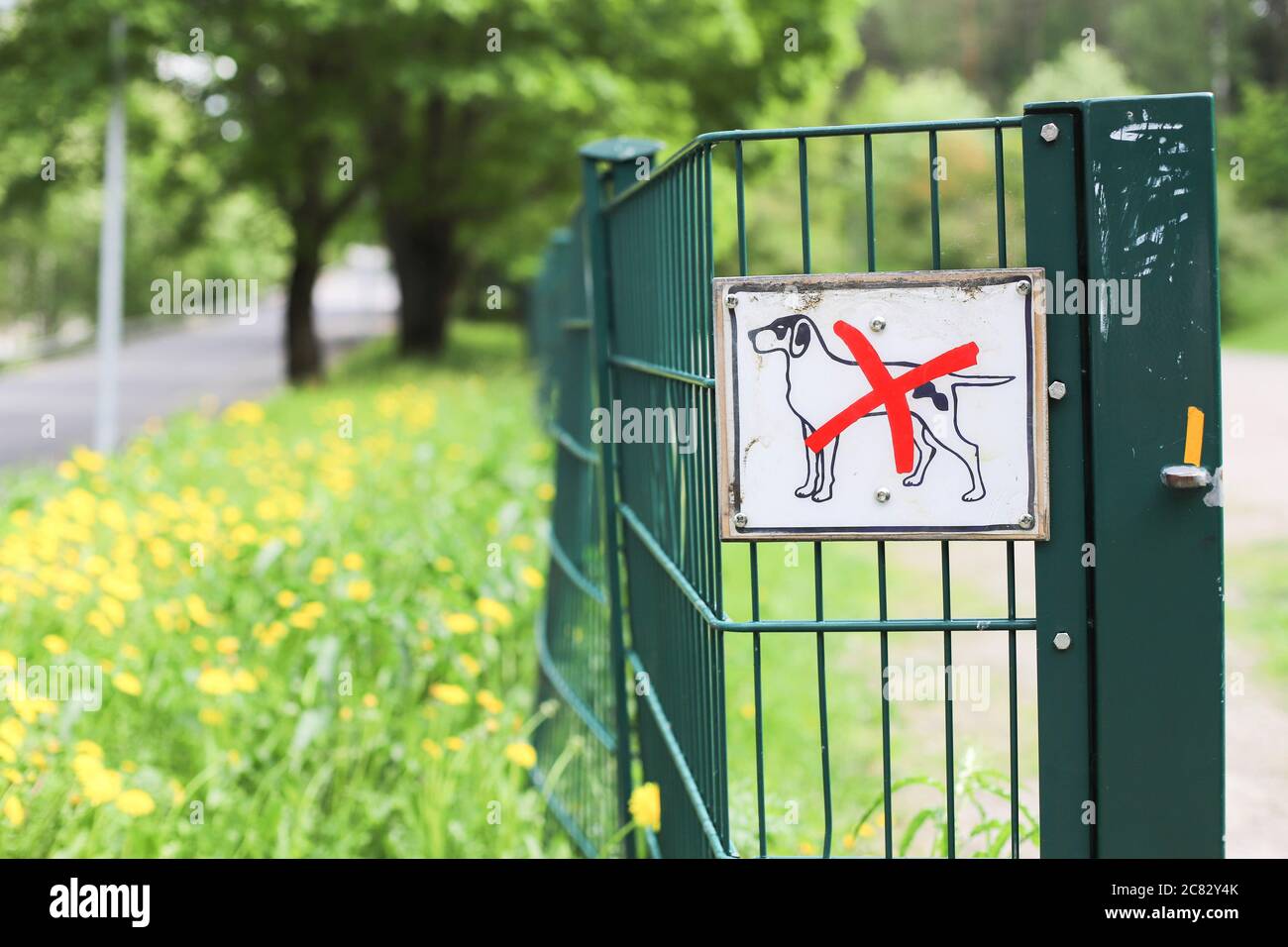 Closeup shot of no dogs allowed sign attached to a metal fence Stock ...
