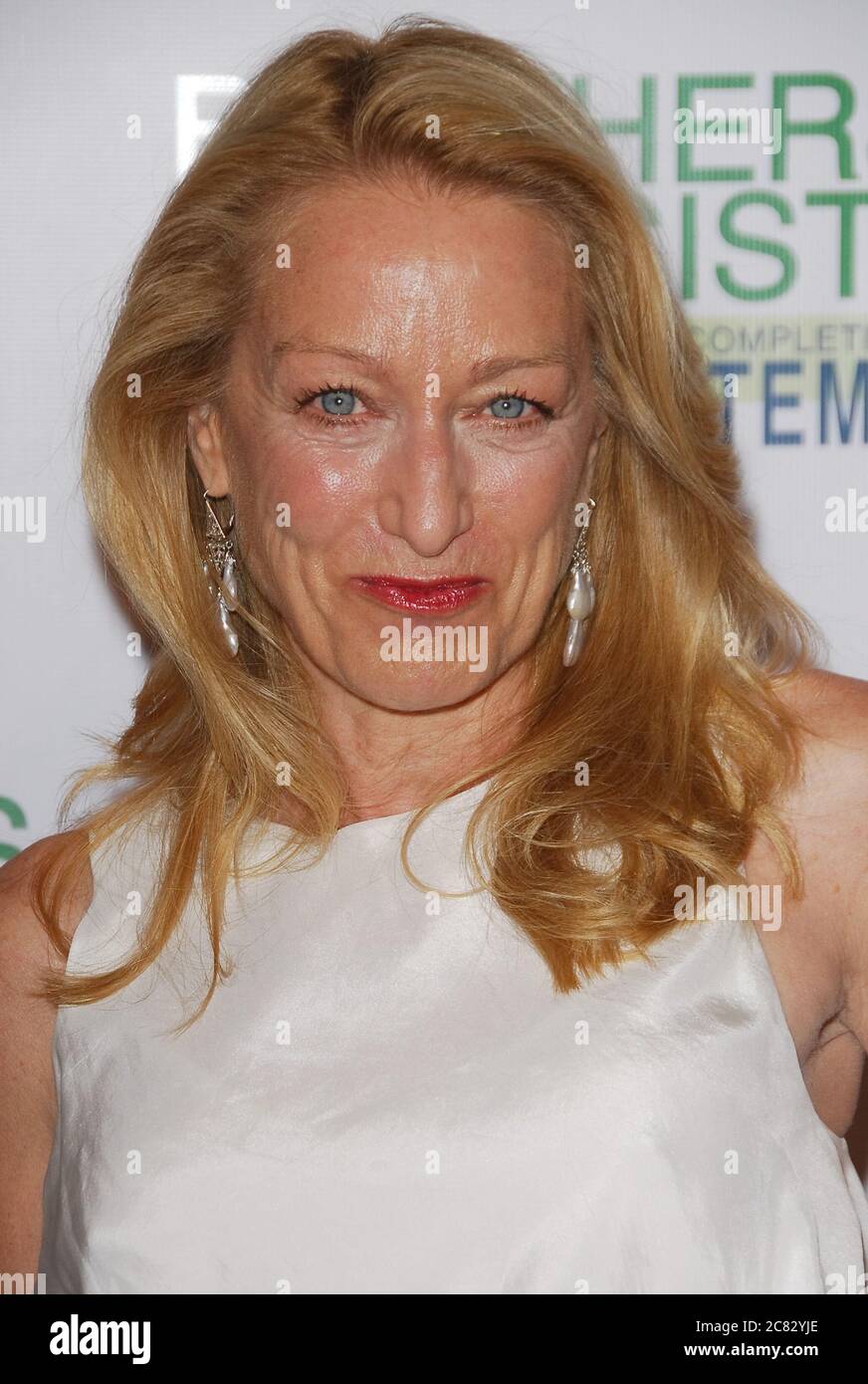 Patricia Wettig at the "Brothers & Sisters: The Complete First Season ...