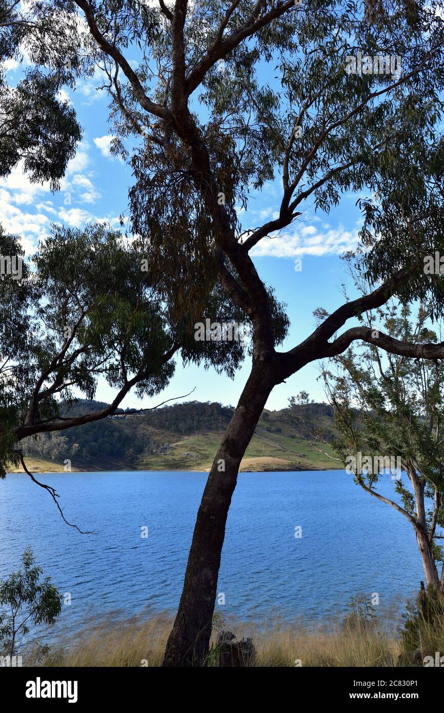 Lyell lake hi-res stock photography and images - Alamy