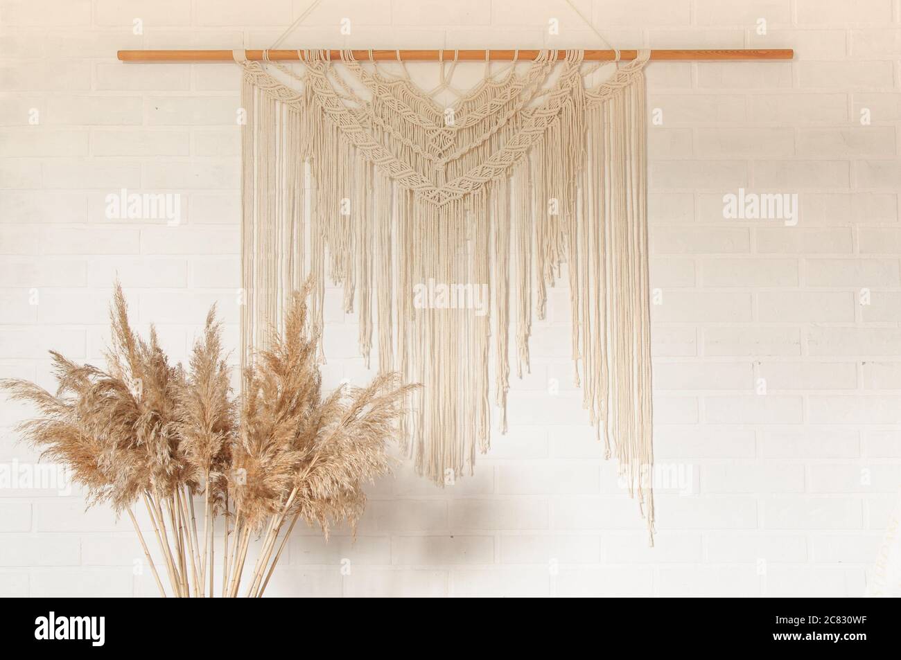 Beige reed against a white wall with a macrame wall panel. A minimal ...