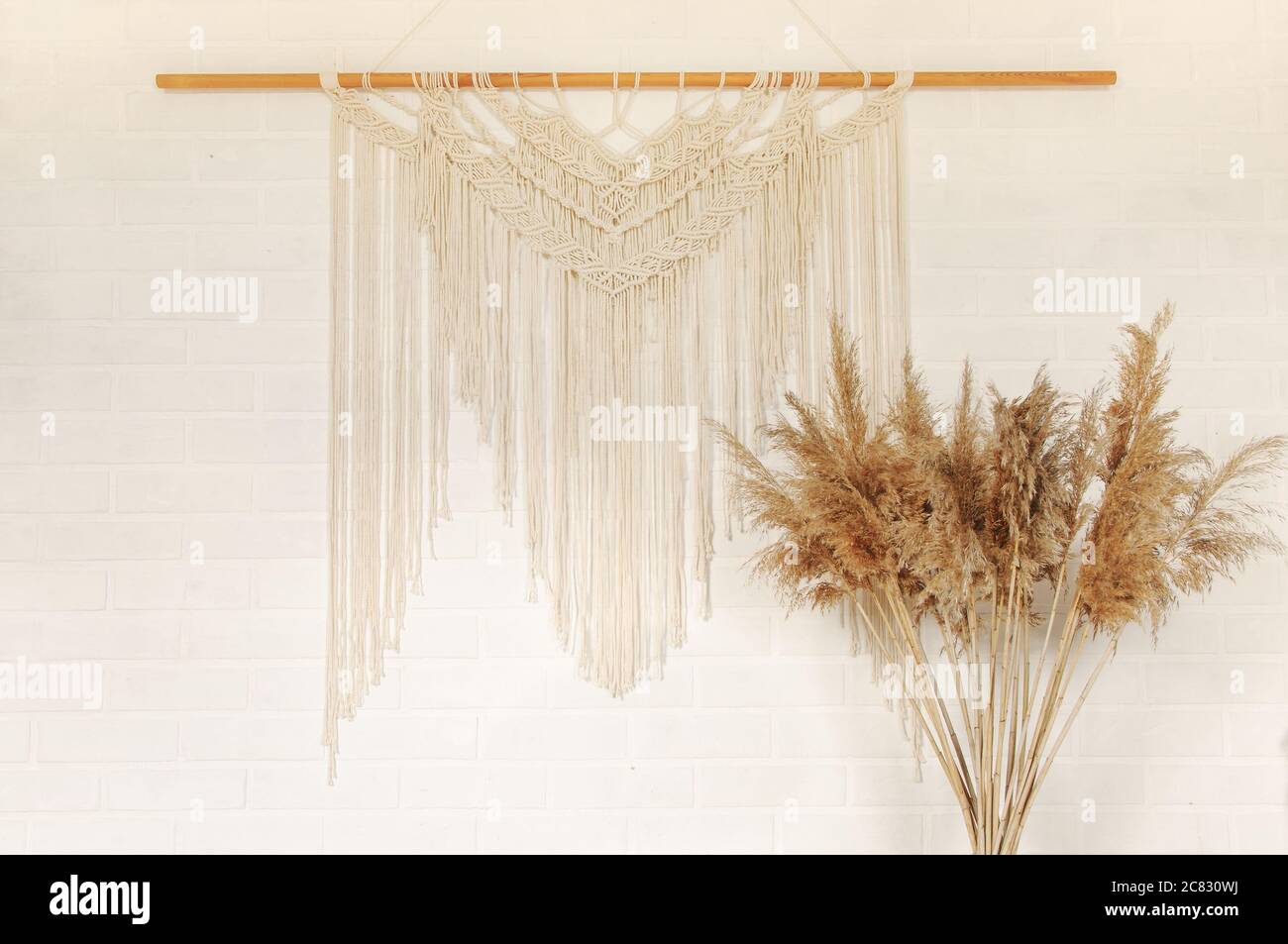 Beige reed against a white wall with a macrame wall panel. A minimal ...