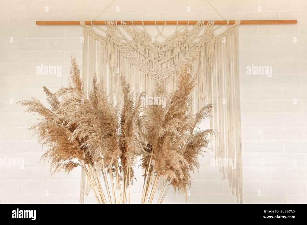 Beige reed against a white wall with a macrame wall panel. A minimal ...