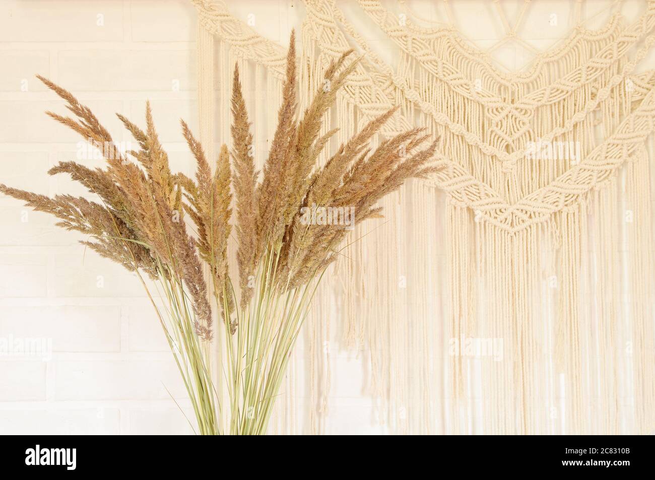 Beige reed against a white wall with a macrame wall panel. A minimal ...