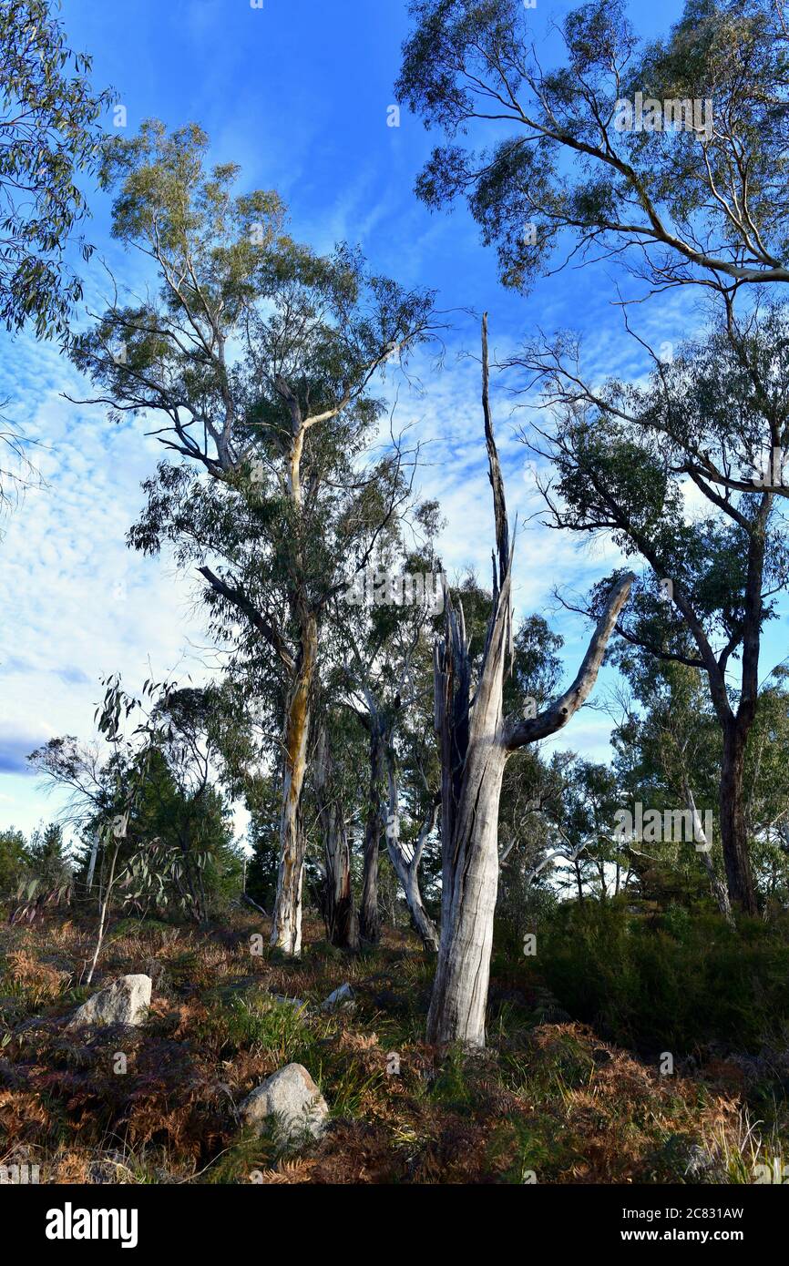 Londonderry reserve hi-res stock photography and images - Alamy