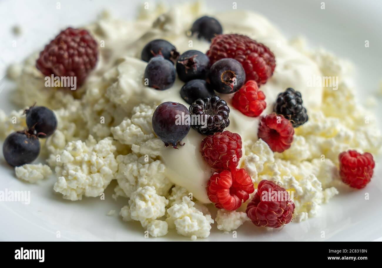 grainy cottage cheese with cream and top sprinkled with a forest ...