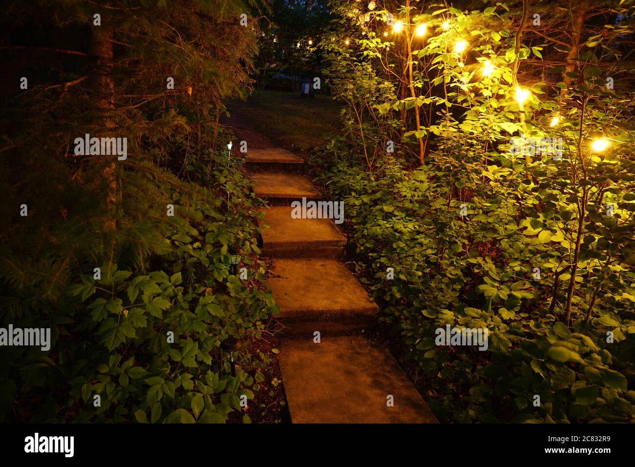 Beautiful shot of path of stairs through a lit garden at nighttime ...