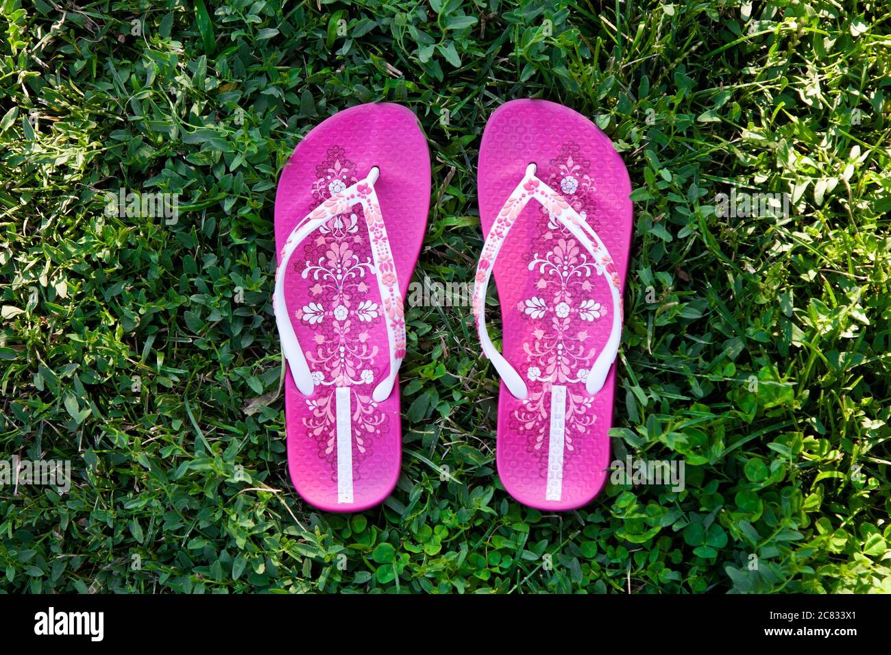 Top view closeup shot of a pair of casual pink slippers on the green ...
