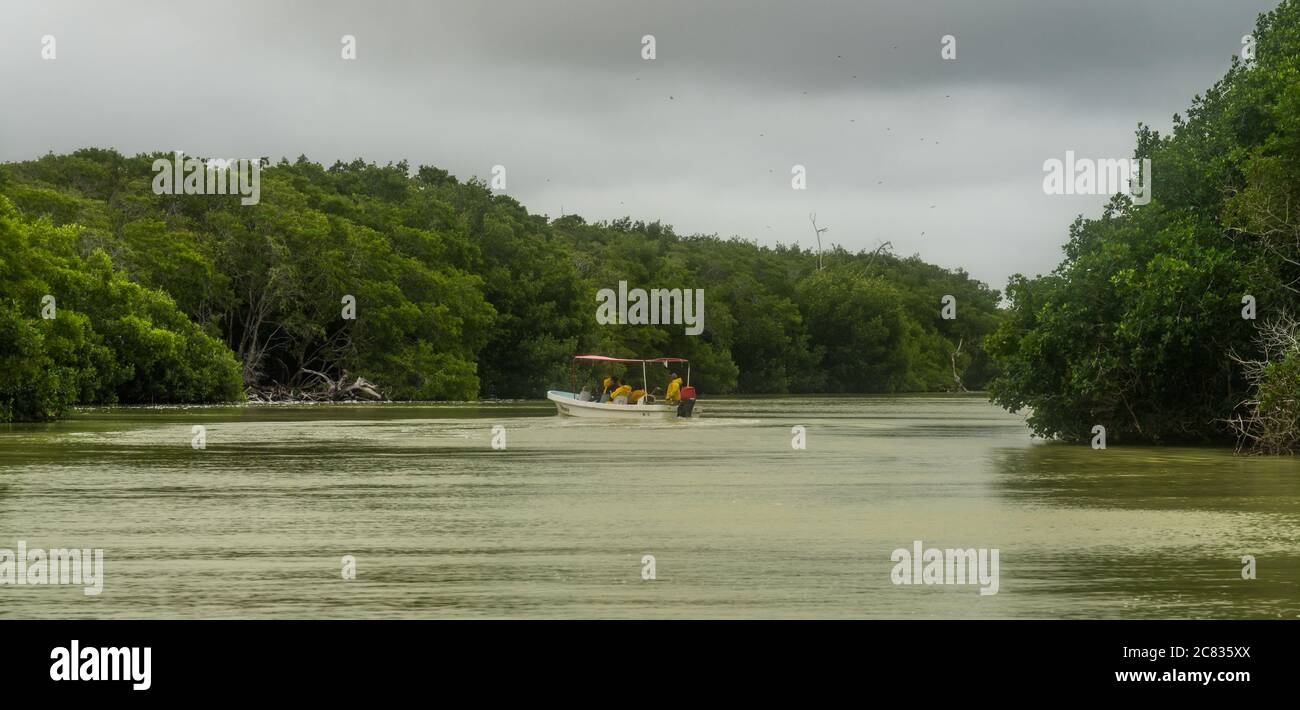 A tour boat cruises the brackish marine estuary in the Ria Lagartos ...
