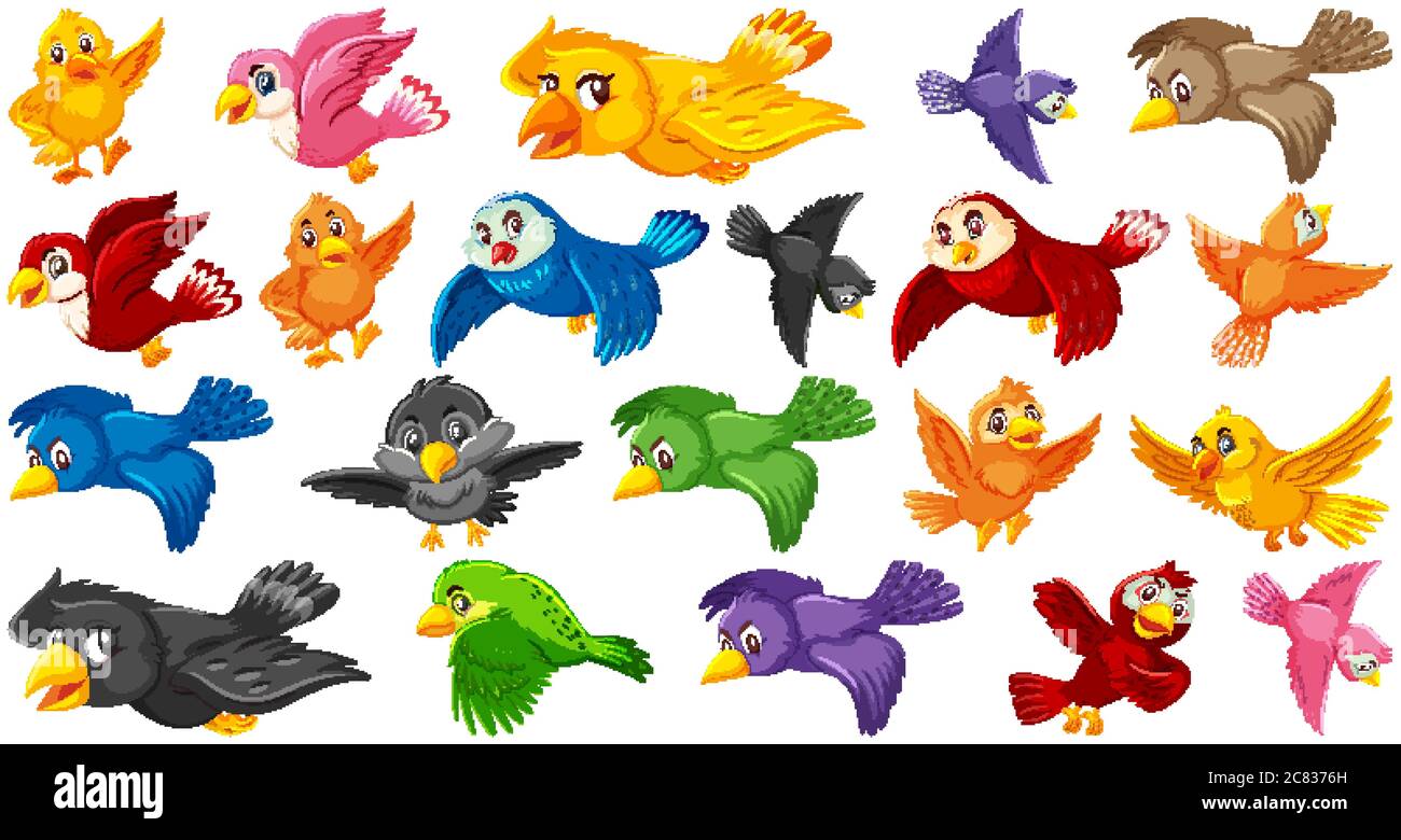 Set of bird cartoon character illustration Stock Vector Image & Art - Alamy