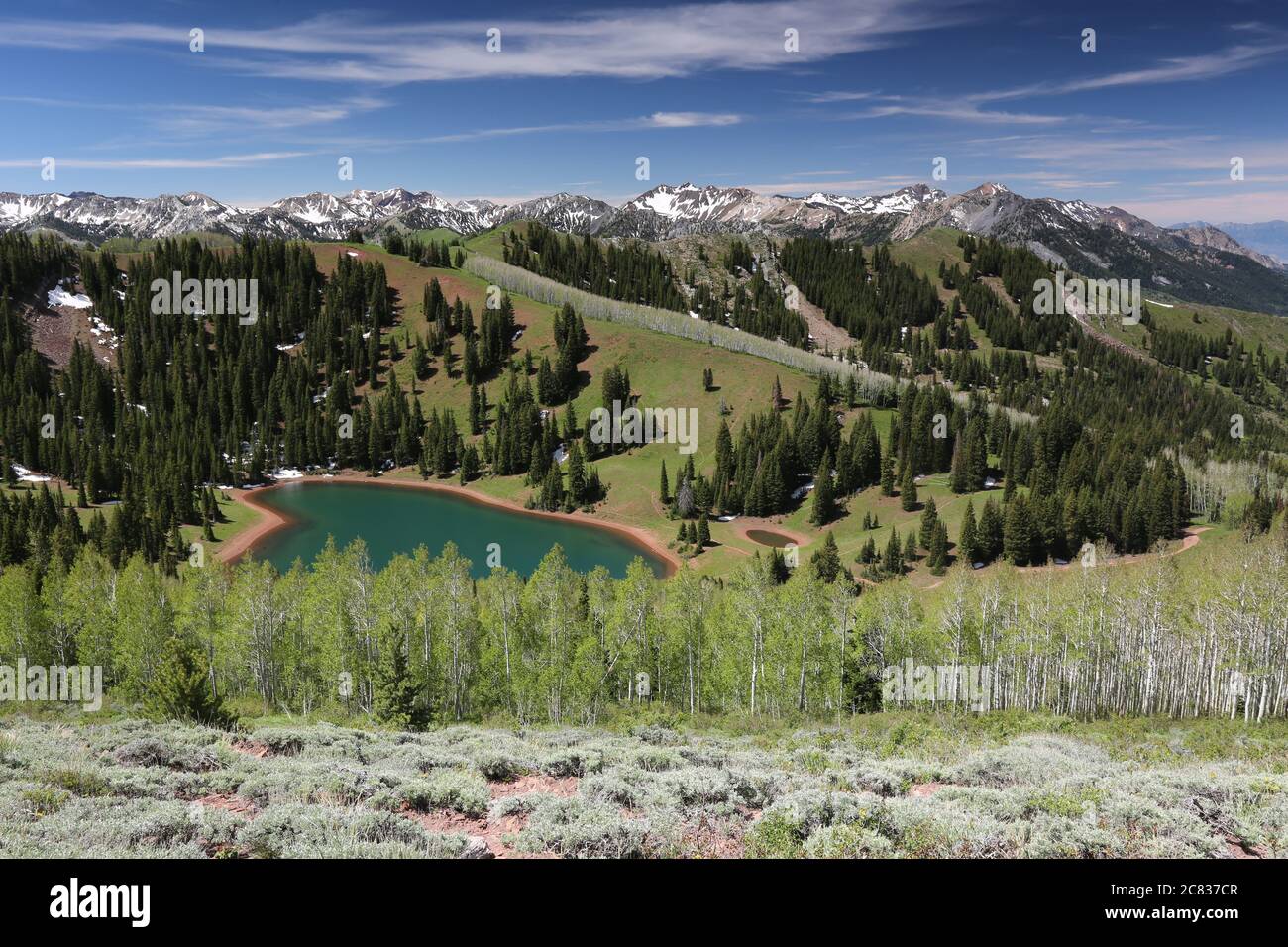 Desolation Lake, Big Cottonwood Canyon, Utah Stock Photo - Alamy
