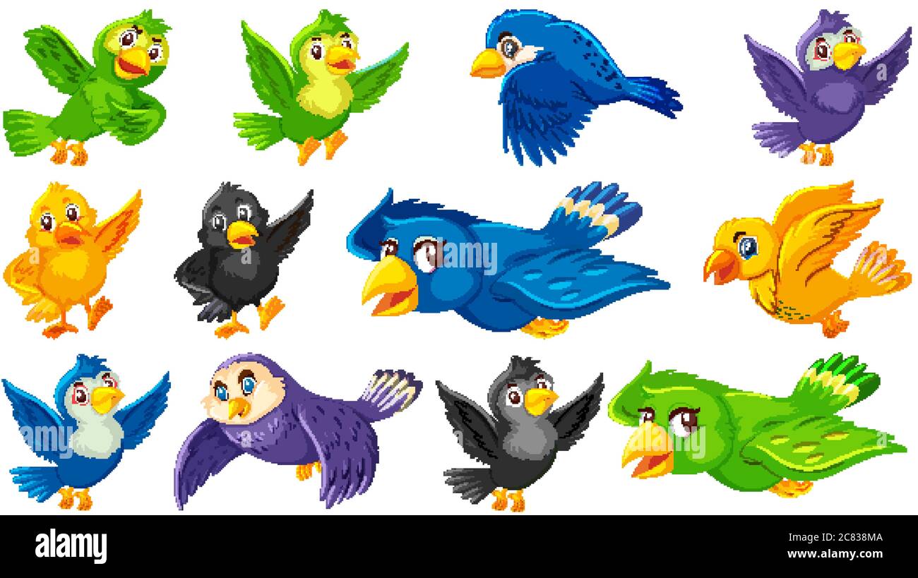 Set of bird cartoon character illustration Stock Vector Image & Art - Alamy