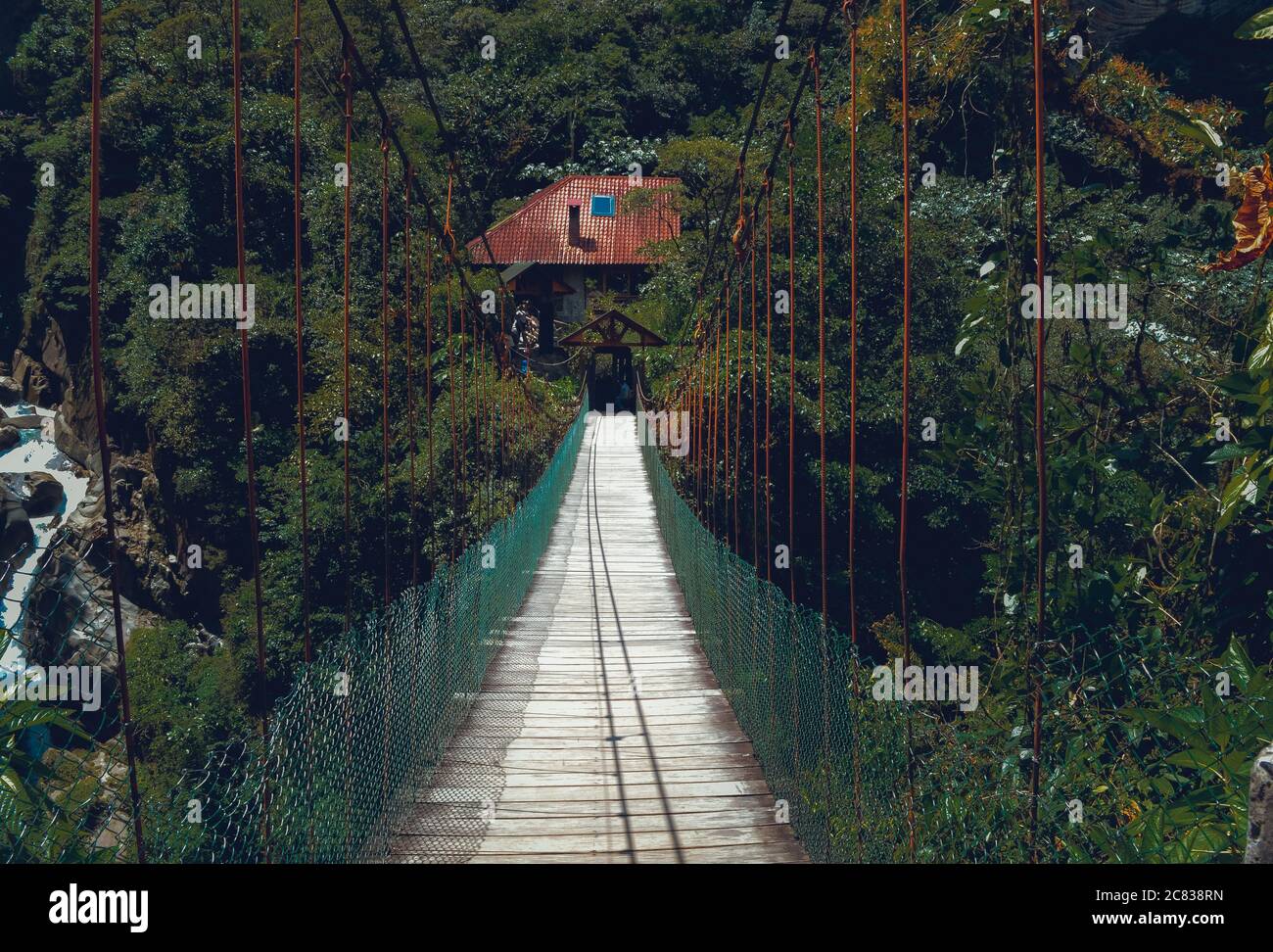 Narrow canopy walkway Stock Photo - Alamy