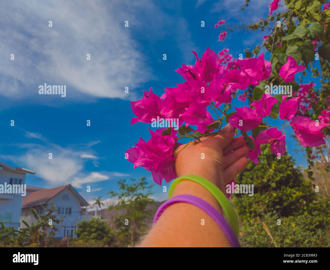 Cottedge hi-res stock photography and images - Alamy